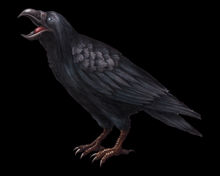 Crow (Resident Evil) | Evil Resource