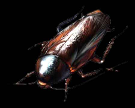 Large Roach (Resident Evil 2) | Evil Resource