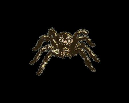 Small Spider (Resident Evil 3: Nemesis) | Evil Resource