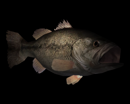 Black Bass (L) (Resident Evil 4) | Evil Resource